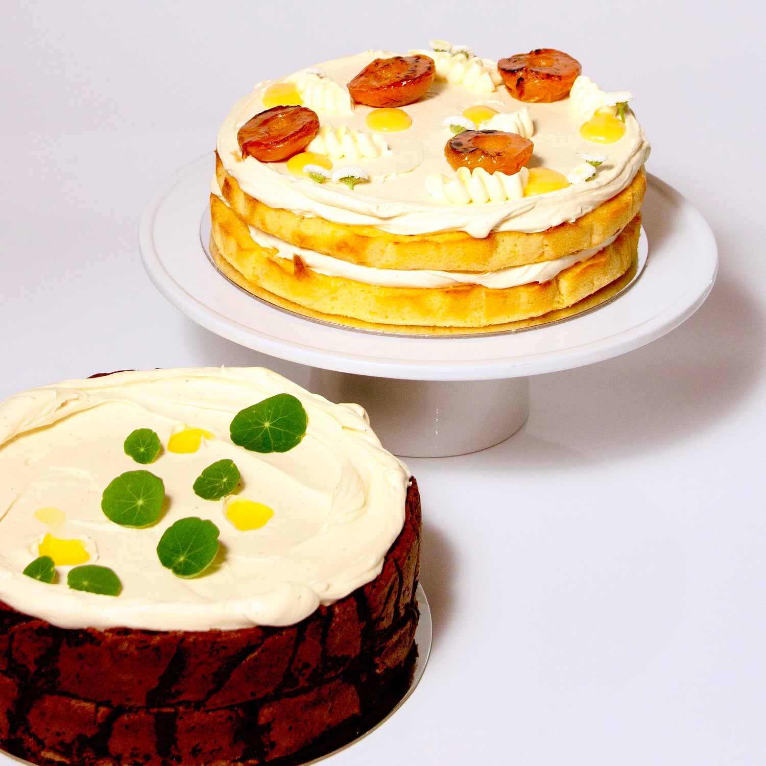 Amazing Cake Kits, Mixes & More – The Caker NZ